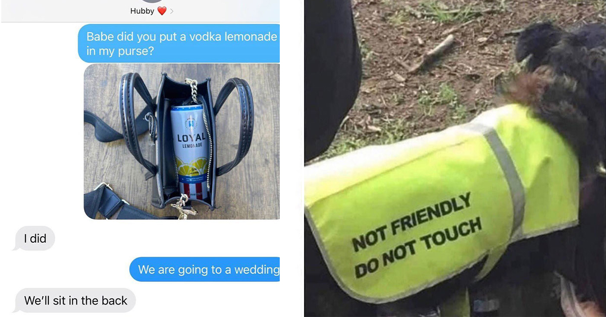 Funny Memes | The Funniest and Most Hilarious Memes Ever - theCHIVE