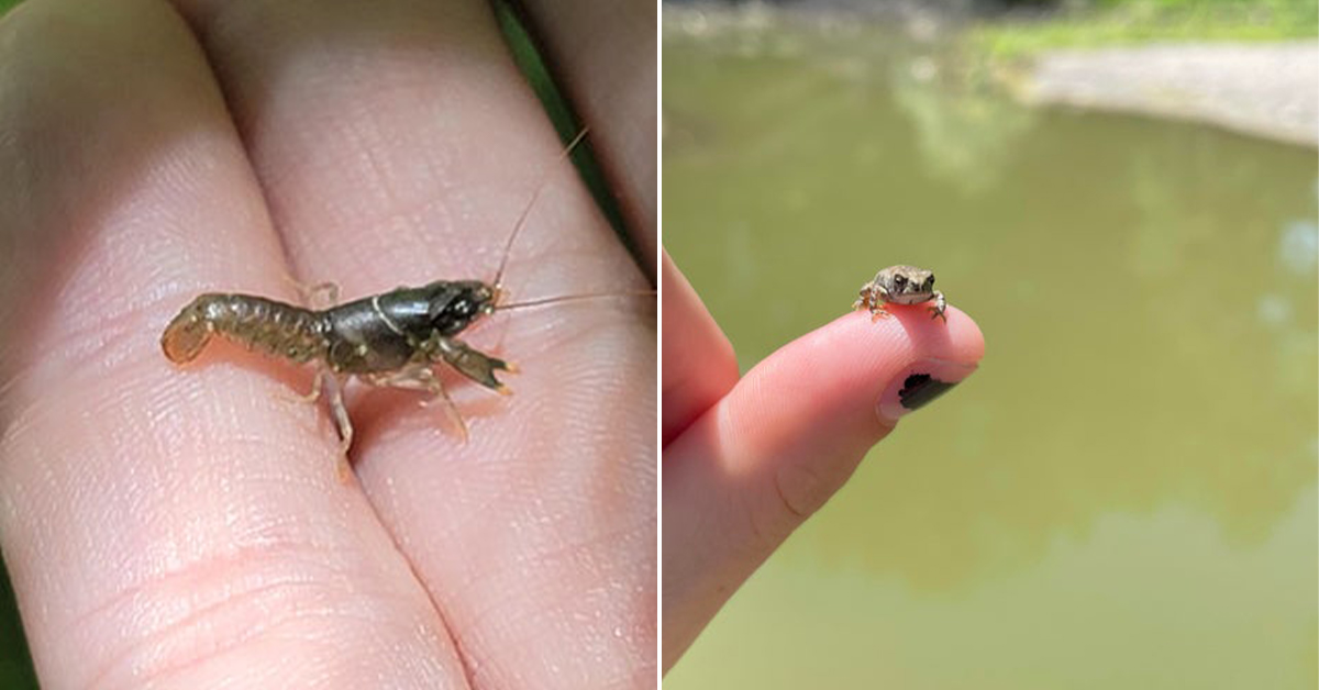 Funny Animal Pictures | Funny Pet Videos - theCHIVE