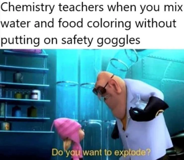 Memes DGAF because I'll Do WHAT I WANT Photo Funny Captions