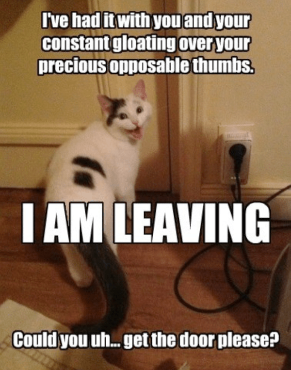 Memes DGAF because I'll Do WHAT I WANT Photo Funny Captions