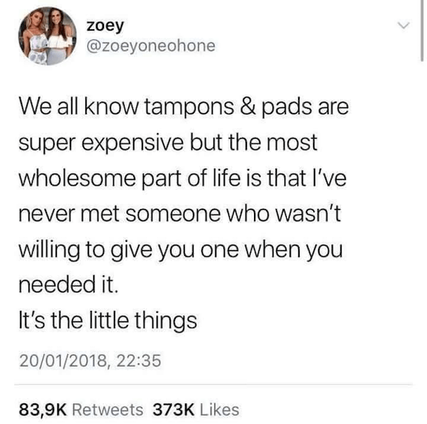 Wholesome memes to wrap around yourself like a warm blanket