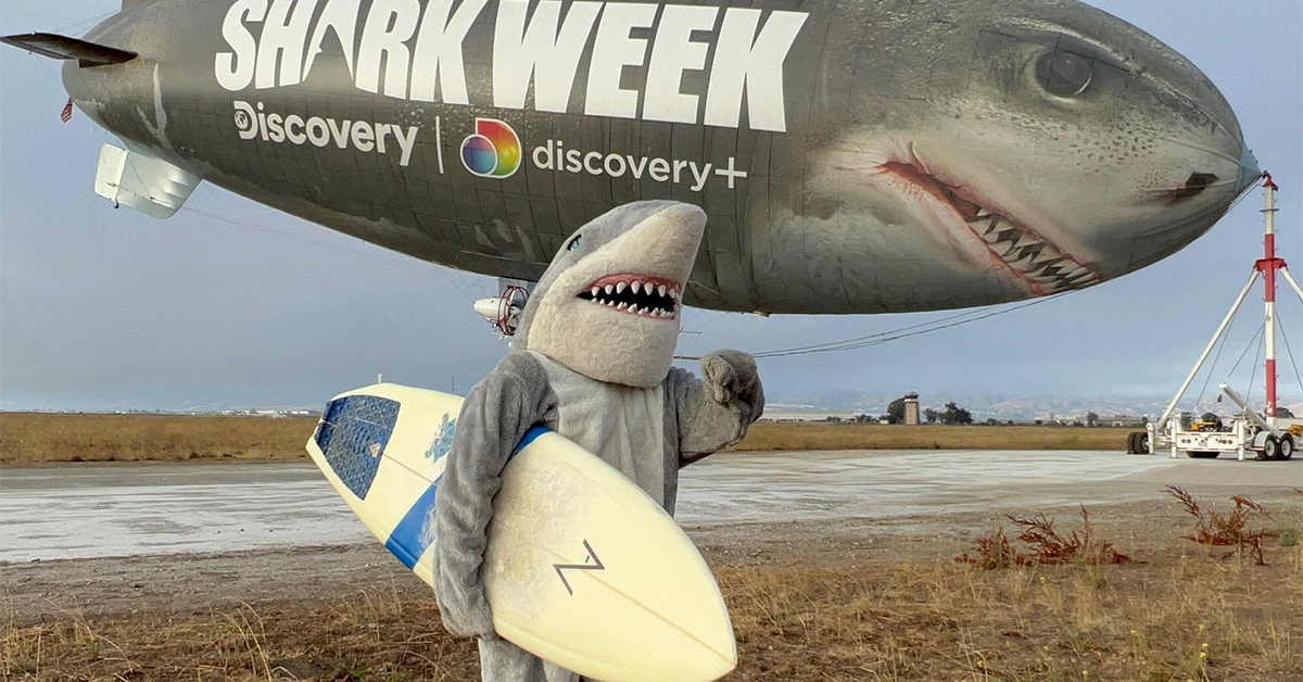 Daily Morning Awesomeness | Awesome Morning Pics, Gifs & More - theCHIVE