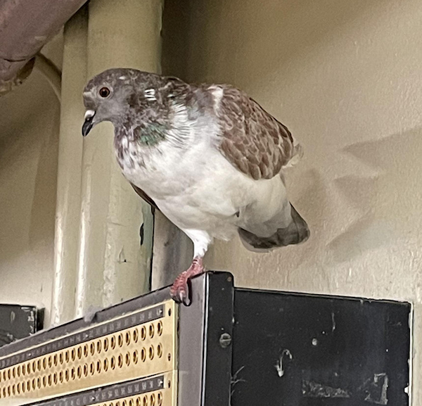 Other worldly object and images that will turn heads