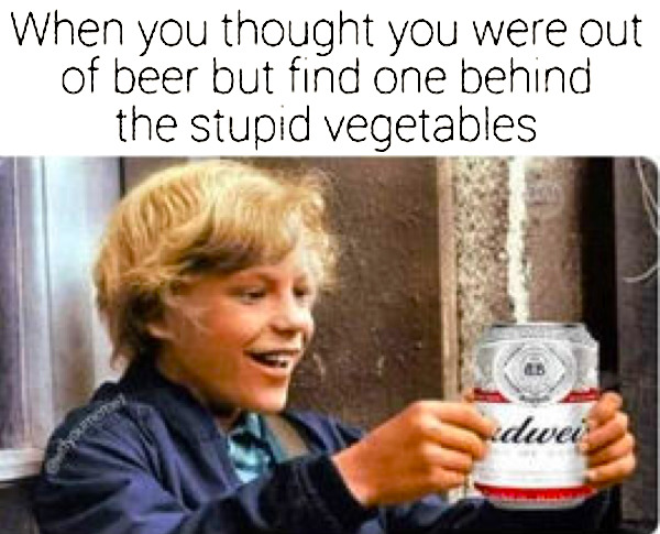 Memes of "You CAN'T Fix STUPID" Photo Captions Dumb People are Funny