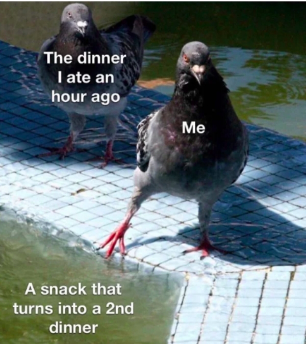 Oh no...I'm pretty sure understing these memes means I'm fat...