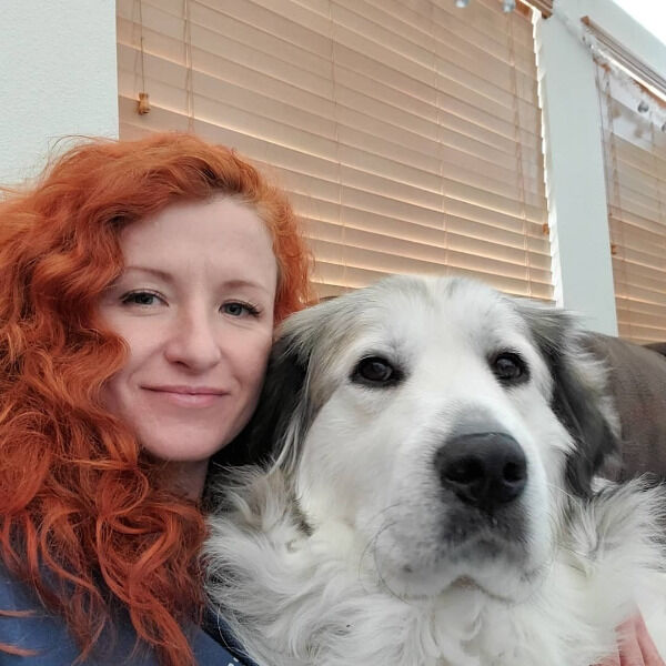 Welcome to Dogs Galore