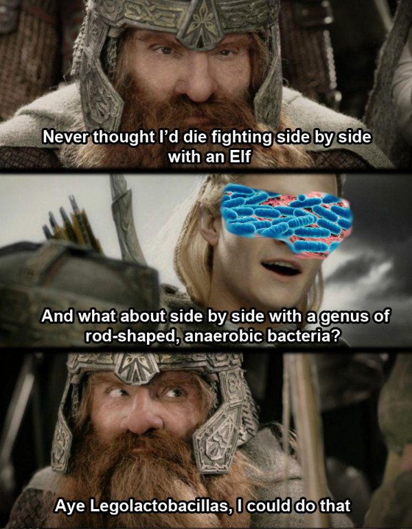 The Lord of the Memes