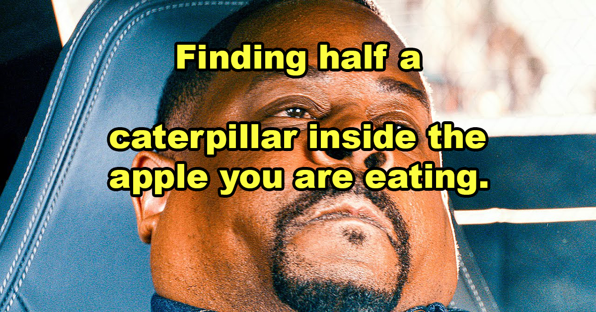 Funny Pictures | Funny Images, Photos & Quotes - theCHIVE