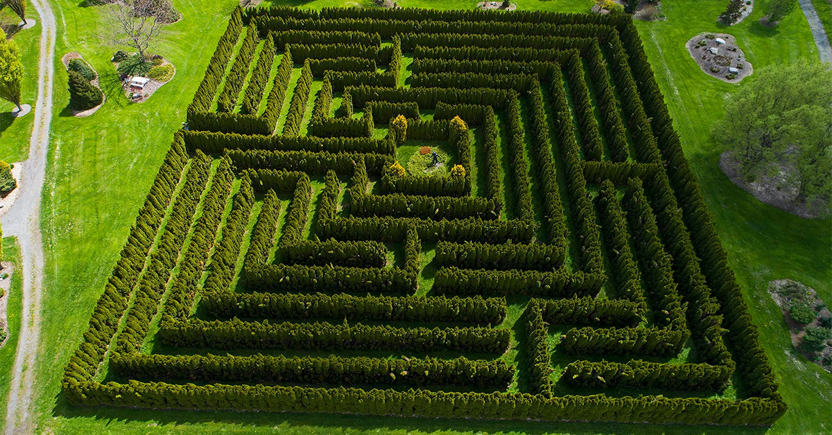 Awesome Photos | Daily Awesome Videos & Awesome GIFs - theCHIVE