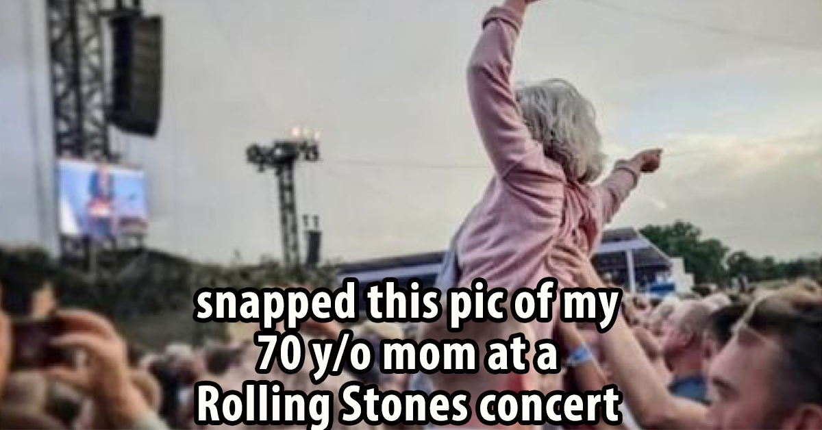 Funny Animal Pictures | Funny Pet Videos - theCHIVE