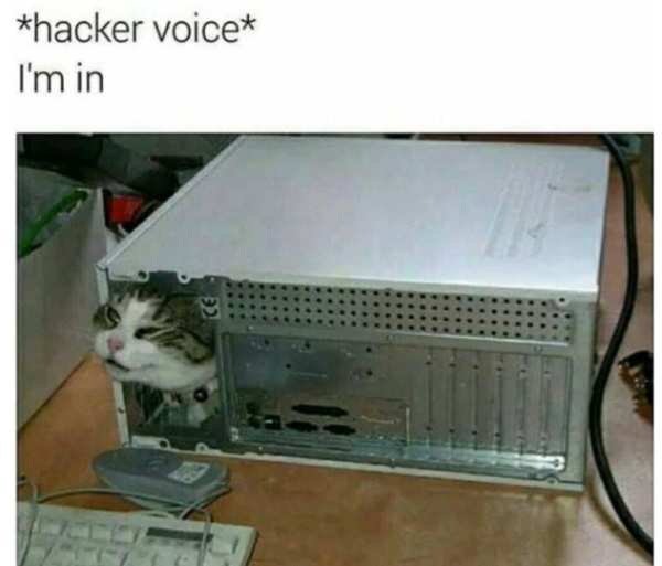 Memes That Warm My Cold Heart