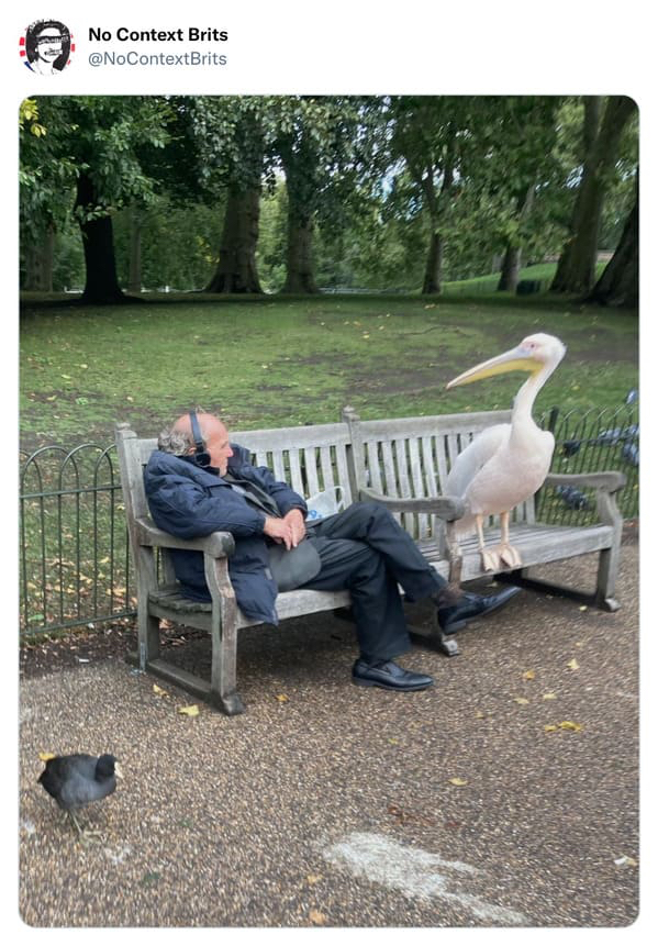 Brits without context are positively smashing