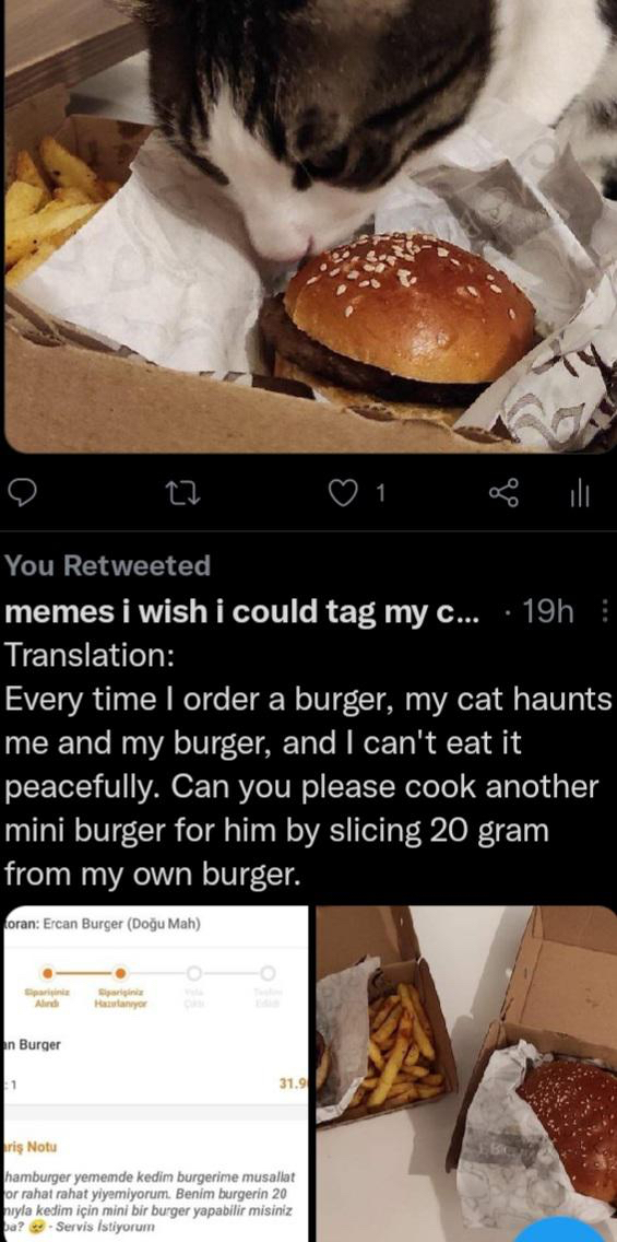 Uplifting images that are sure to make you smile