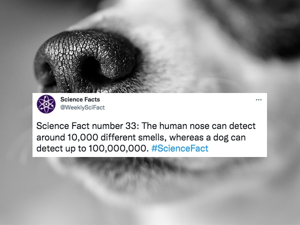 Insane Science Facts You Didn T Know You Needed To Know 30 Photos