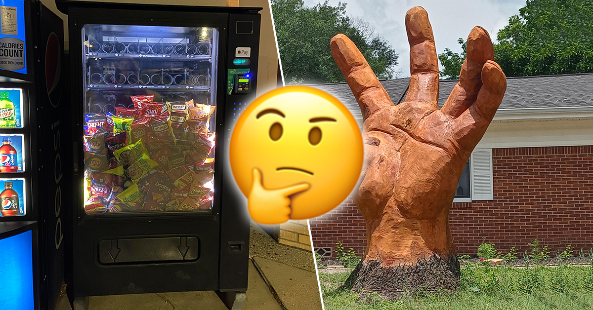 Humanity Photos, Memes & Videos - theCHIVE