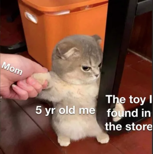 Memes of "You CAN'T Fix STUPID" Photo Captions Dumb People are Funny