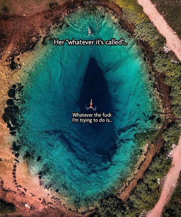 Mondays are for wild memes