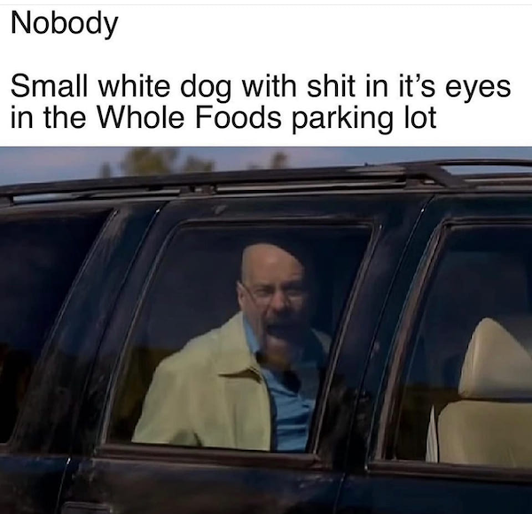 Another Monday, more wild memes