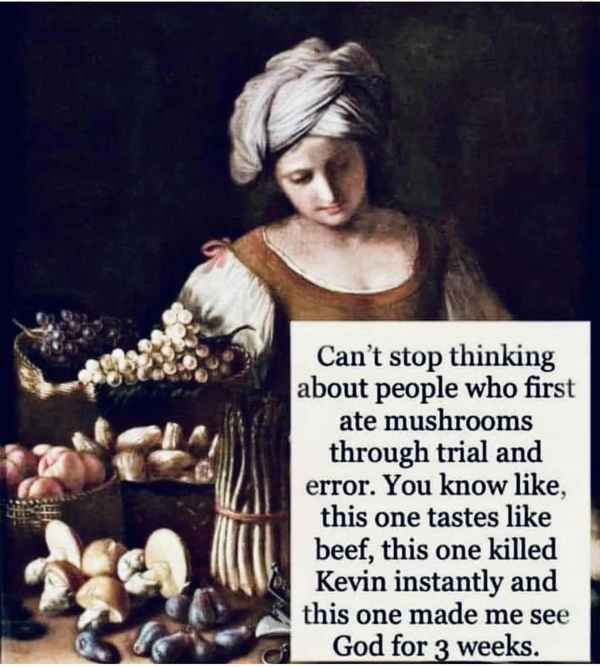 Plant jokes that will make your green thumb giggle