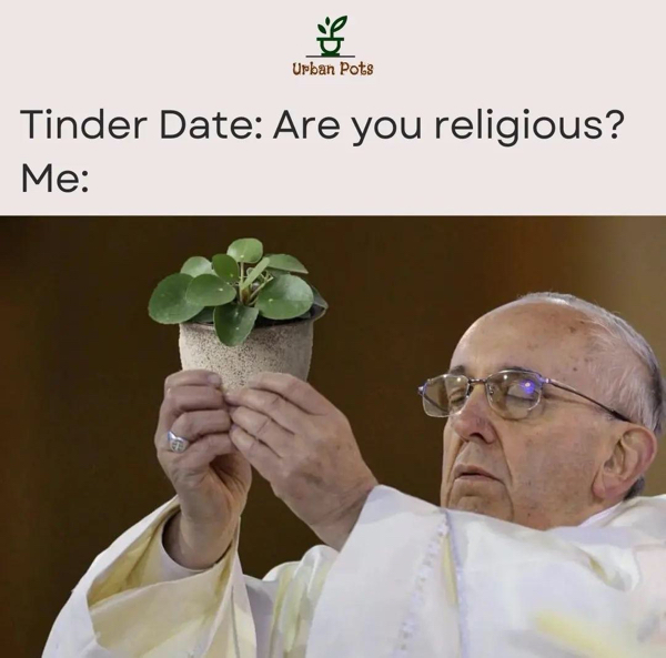 Plant jokes that will make your green thumb giggle