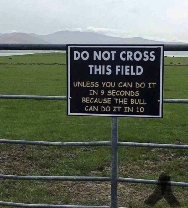 Hilarious signs that might be a traffic hazard