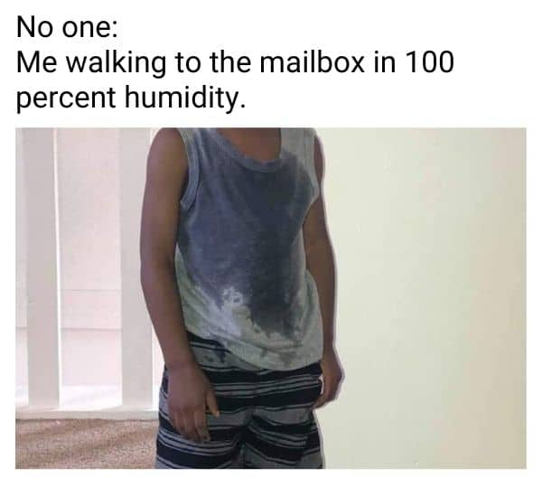 Heat Wave Memes: I’m a Fan of These Things