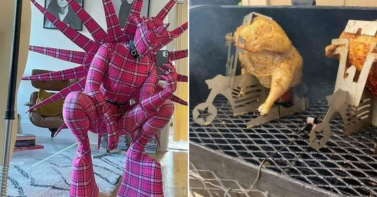 Daily Humor | Funny Videos, Pictures, Memes & Clips – theCHIVE