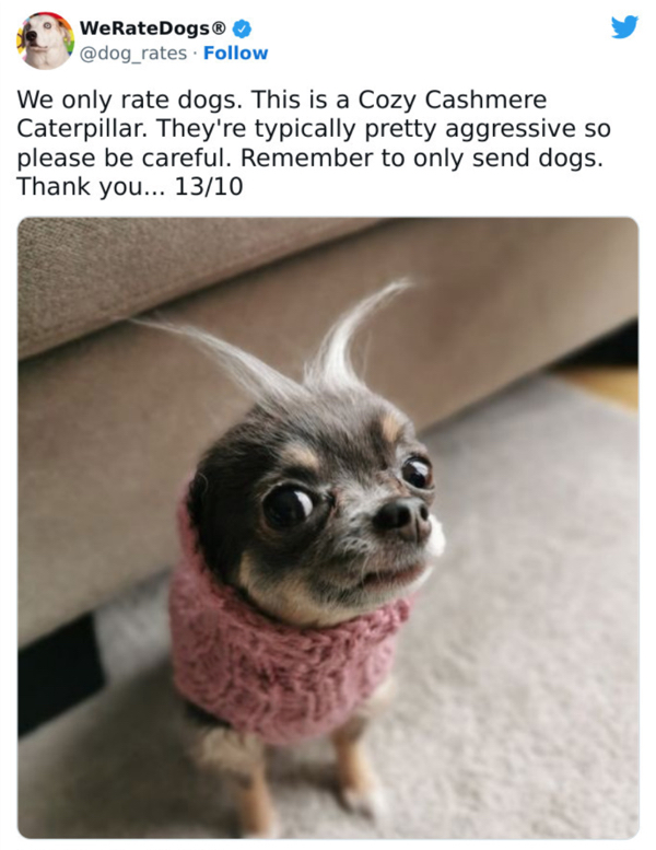 They rate dogs, so we don't have to