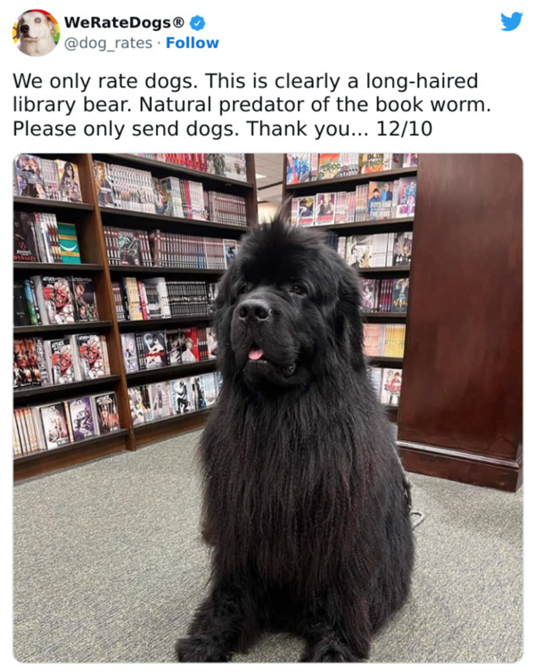 They rate dogs, so we don't have to