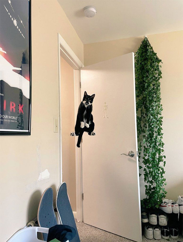 No context jokes that are no problem at all