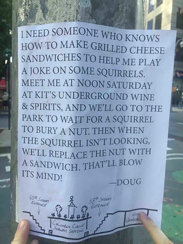 Hilarious signs that might be a traffic hazard