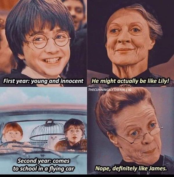 "Potterheads" will get a kick out of these wizard-ing memes