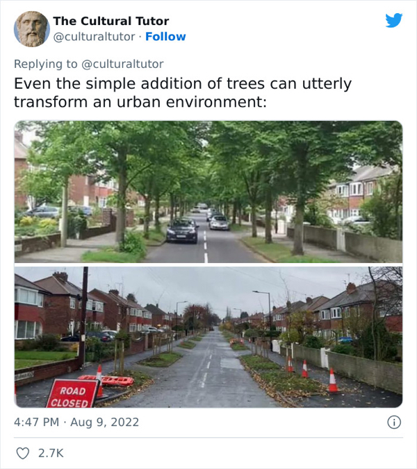 Appreciating the ordinary beauty in everyday things