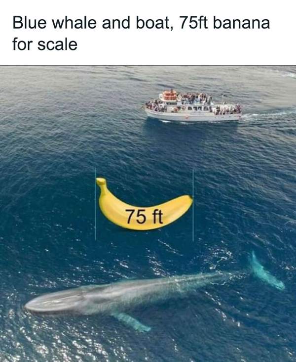 You don't have to be a rocket surgeon to get these science jokes