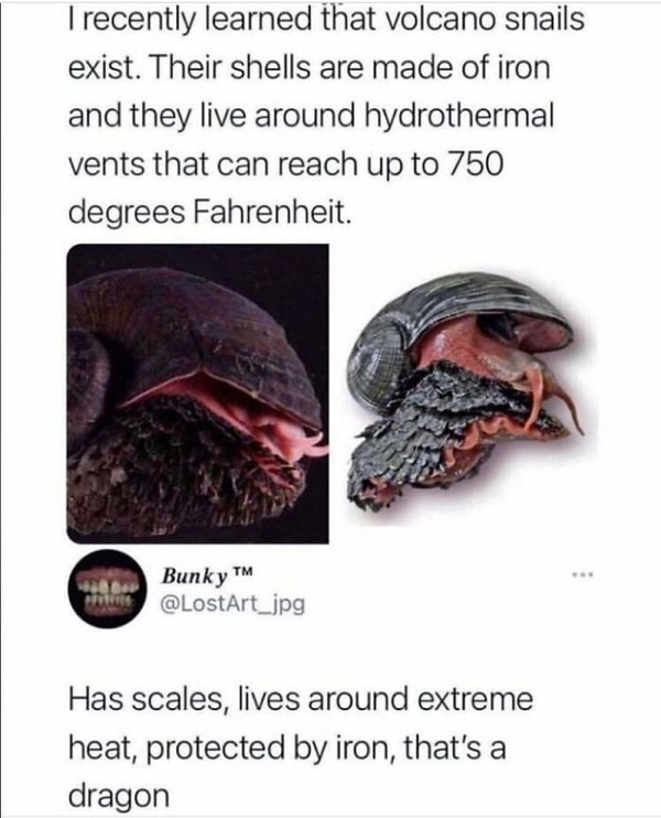 You don't have to be a rocket surgeon to get these science jokes