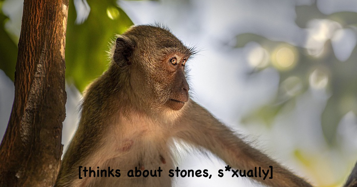 theCHIVE - Funny Pictures, Photos, Memes & Videos – theCHIVE.com