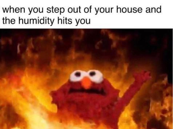 Heat Wave Memes: I’m a Fan of These Things