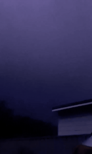 Some mesmerizing GIFs to pass the time with