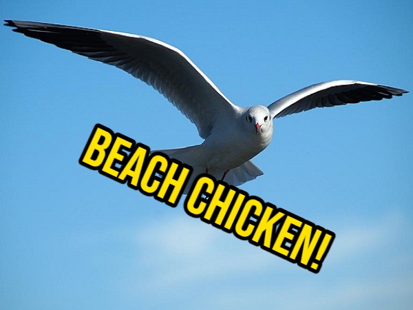 Kids Have a Name for Everything