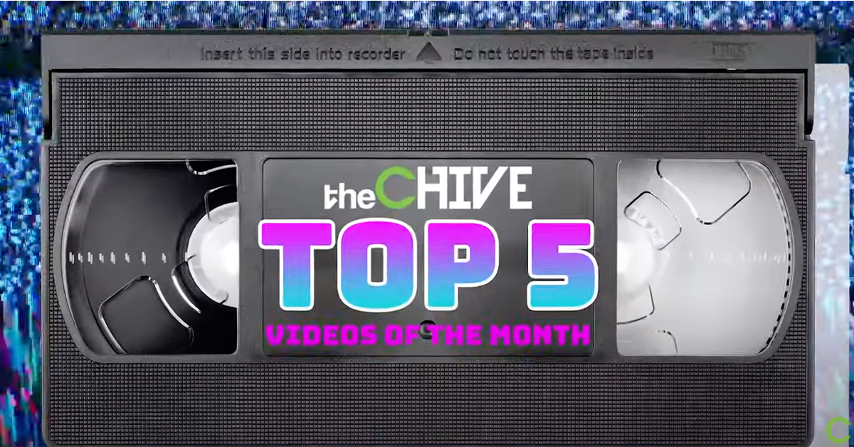 Chive Originals | Funny Video Interviews, Questions & Movies