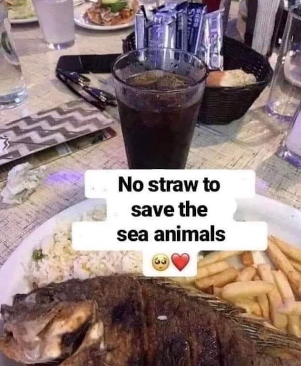 Food memes for boys who can cook