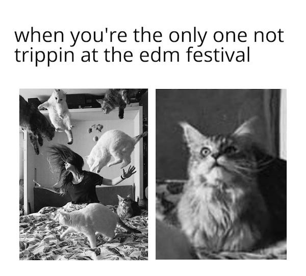 Get your week started with some filthy memes