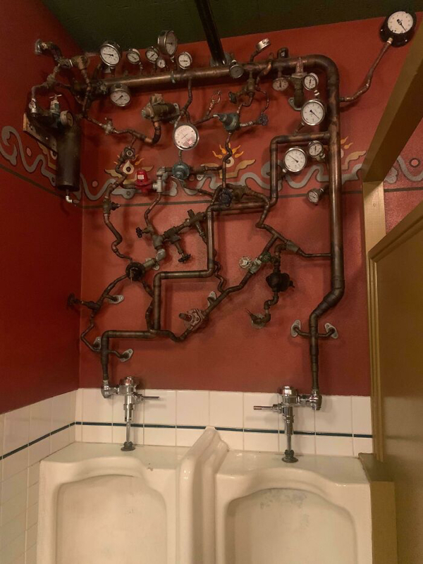 Plumbers took a closer look and found something truly eye-opening