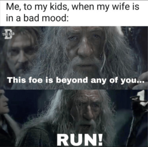 Cheesy Memes Dumb yet Funny Photo Captions Stipid Random Thoughts