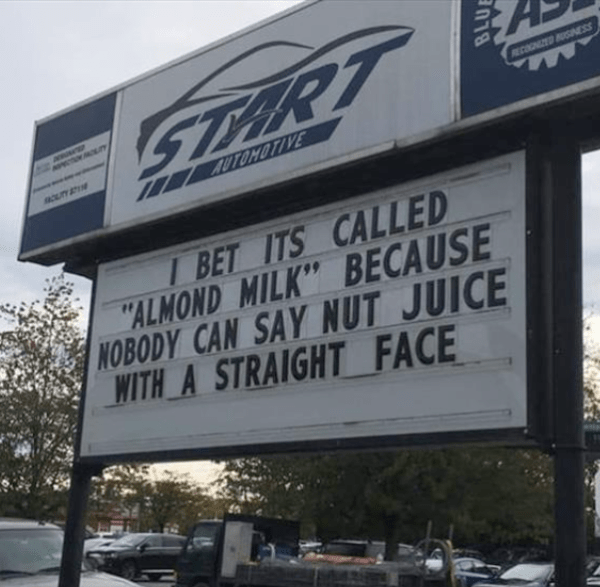 Cheesy Memes Dumb yet Funny Photo Captions Stipid Random Thoughts