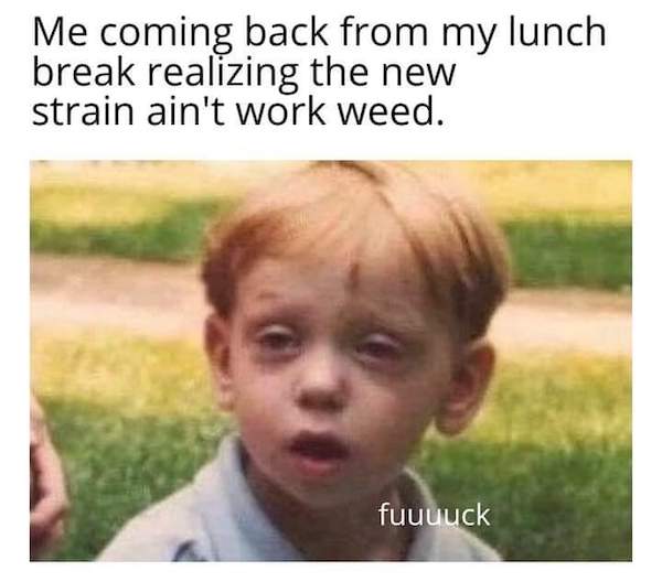 It's time again for some Monday morning meme madness