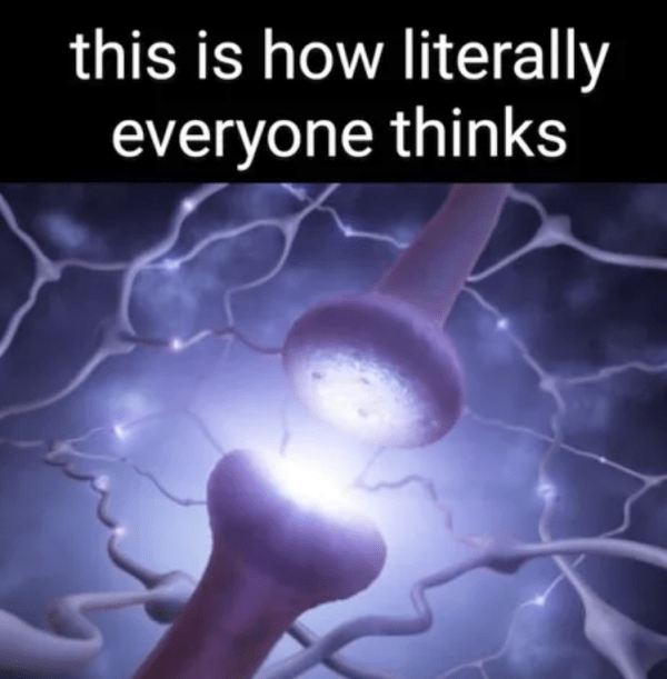 NAILed IT Memes Photo Catpions of Idiots with Mindless Stupid Thoughts