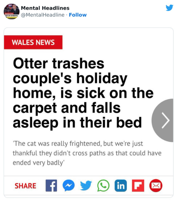 Hilarious headlines that are too funny to be real