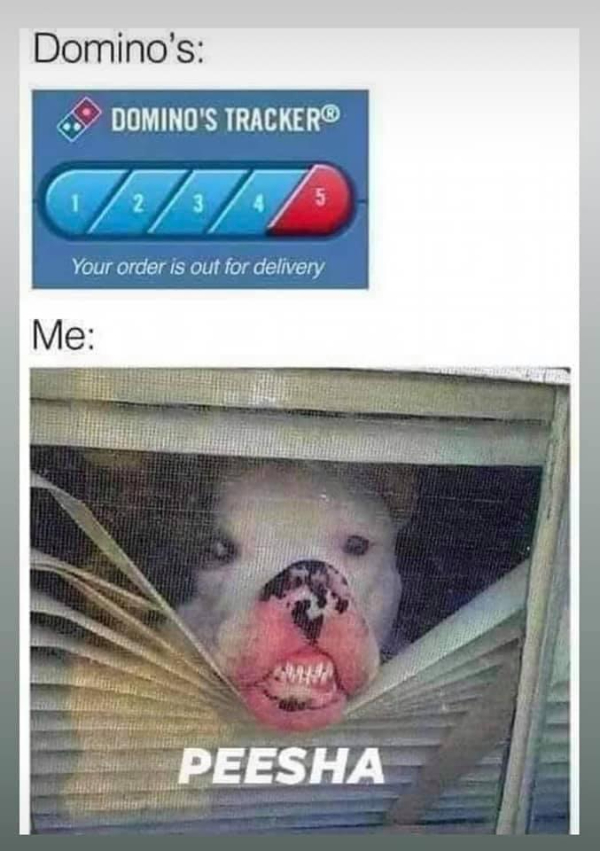 Dank Memes Never Stop