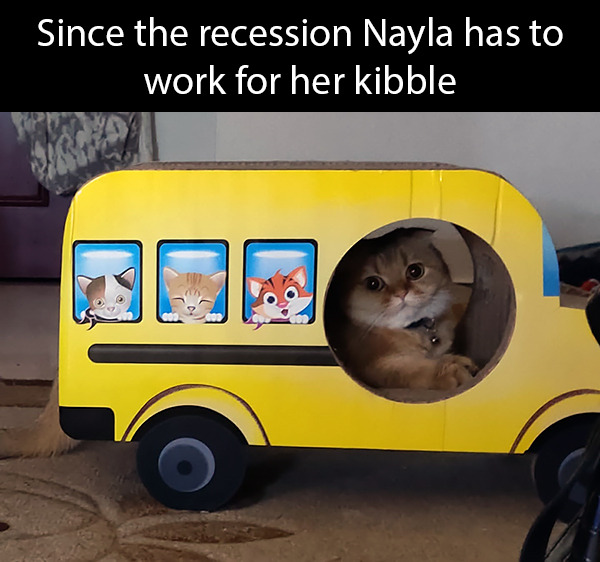 Cheesy Memes Best Tuesday Sucks Morning Funny Photo Captions